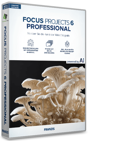 FOCUS projects 6 professional | FRANZIS